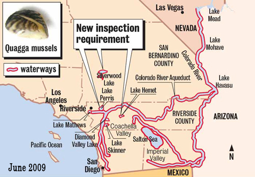 Quagga & Zebra Mussels | Center for Invasive Species Research